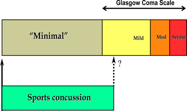 Head Clash: concussion, mild, moderate or severe traumatic brain injury ...